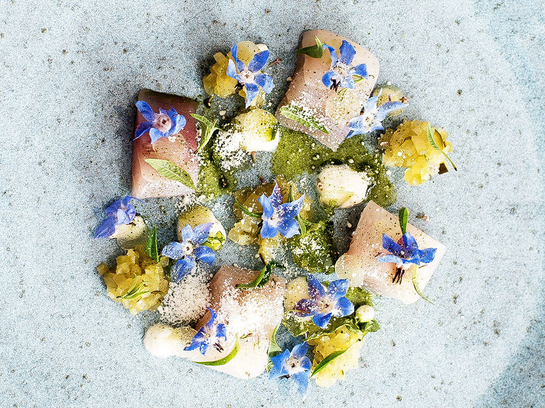 Hytra Restaurant & Bar